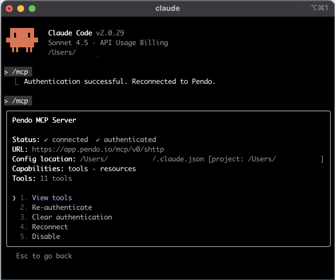 Connect to the Pendo MCP server (beta) – Pendo Help Center